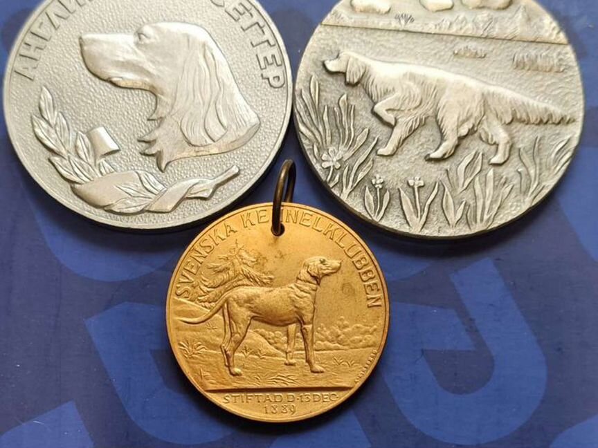 Медали,выставка собак