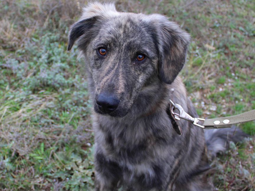 Красивый мальчик Барни