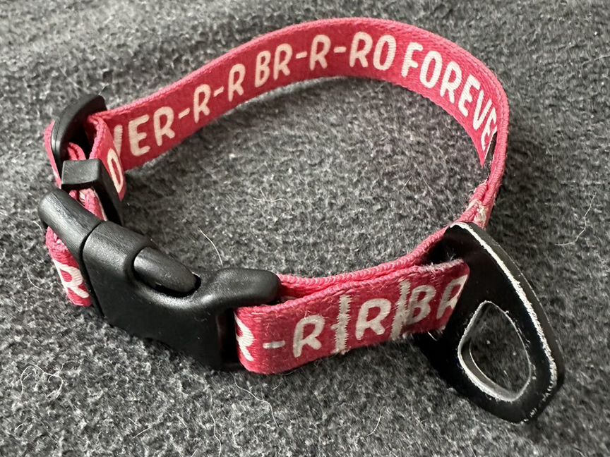 Ошейник brrro XS (21-30 см)