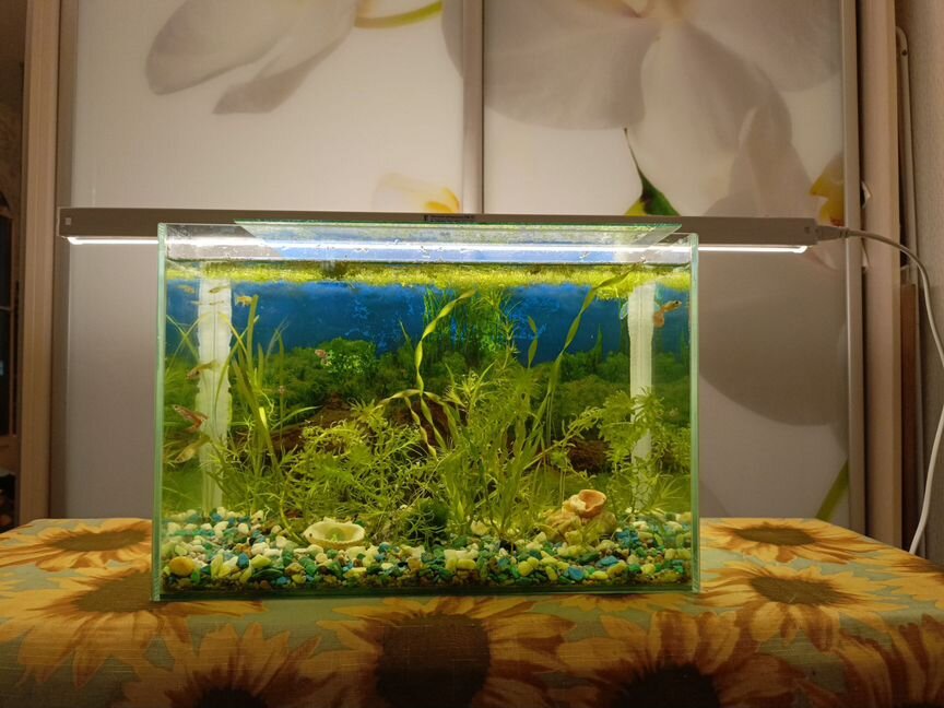 Аквариум 15 л., готовый подарок для ребёнка