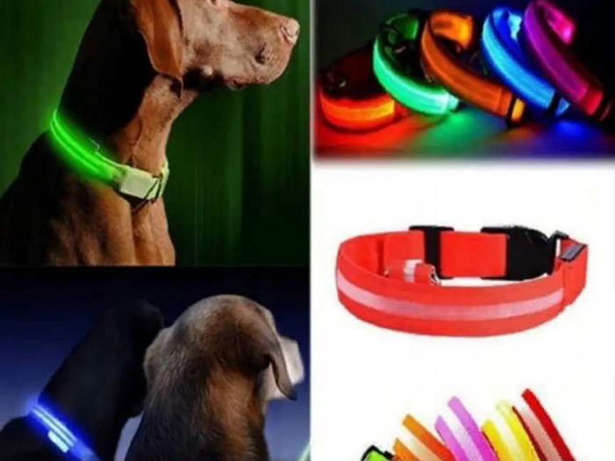 Led ошейник для собак