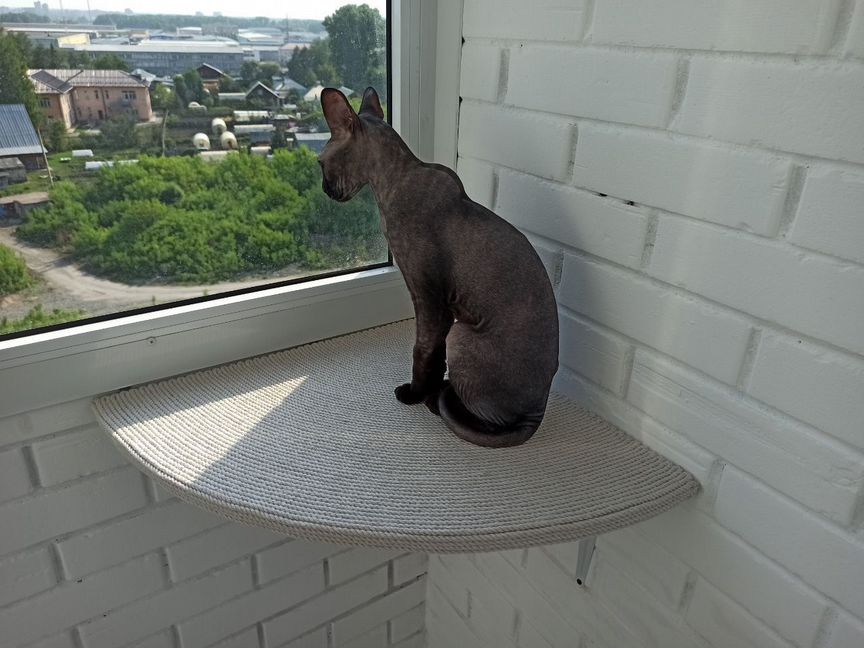 Полка для кошек