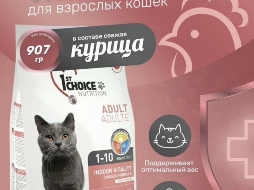 Сухой корм для кошек