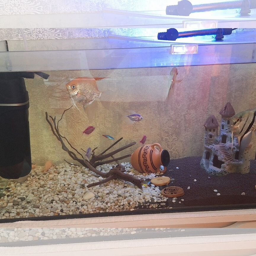 Аквариум 85л с грунтом, фильтром и рыбами