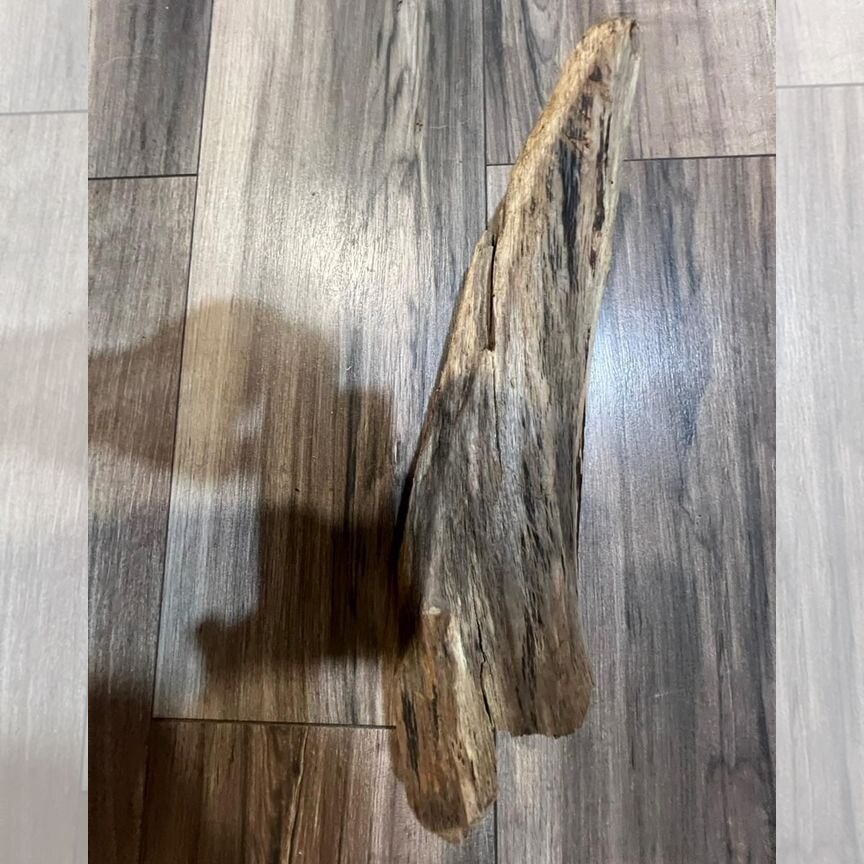 Коряга для декора террариума