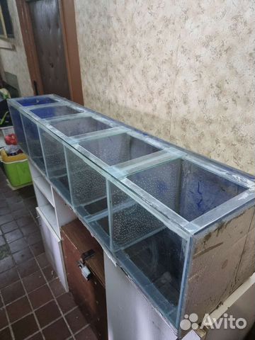 Аквариум ширма