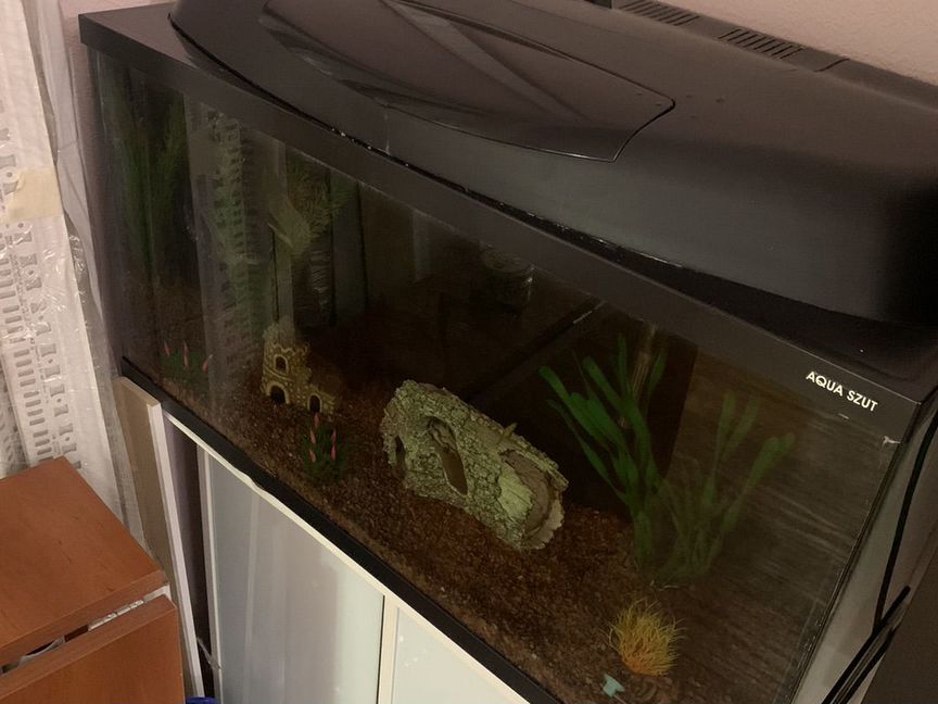 Аквариум + все комплектующие, рыбы, тумба