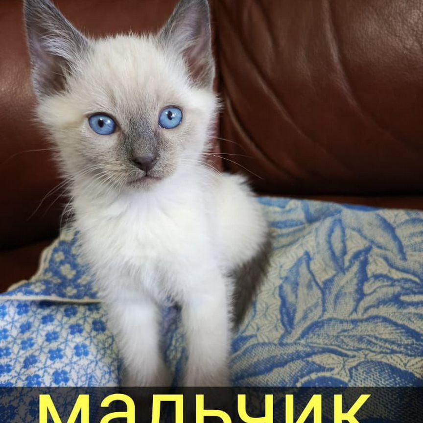 Бронирование