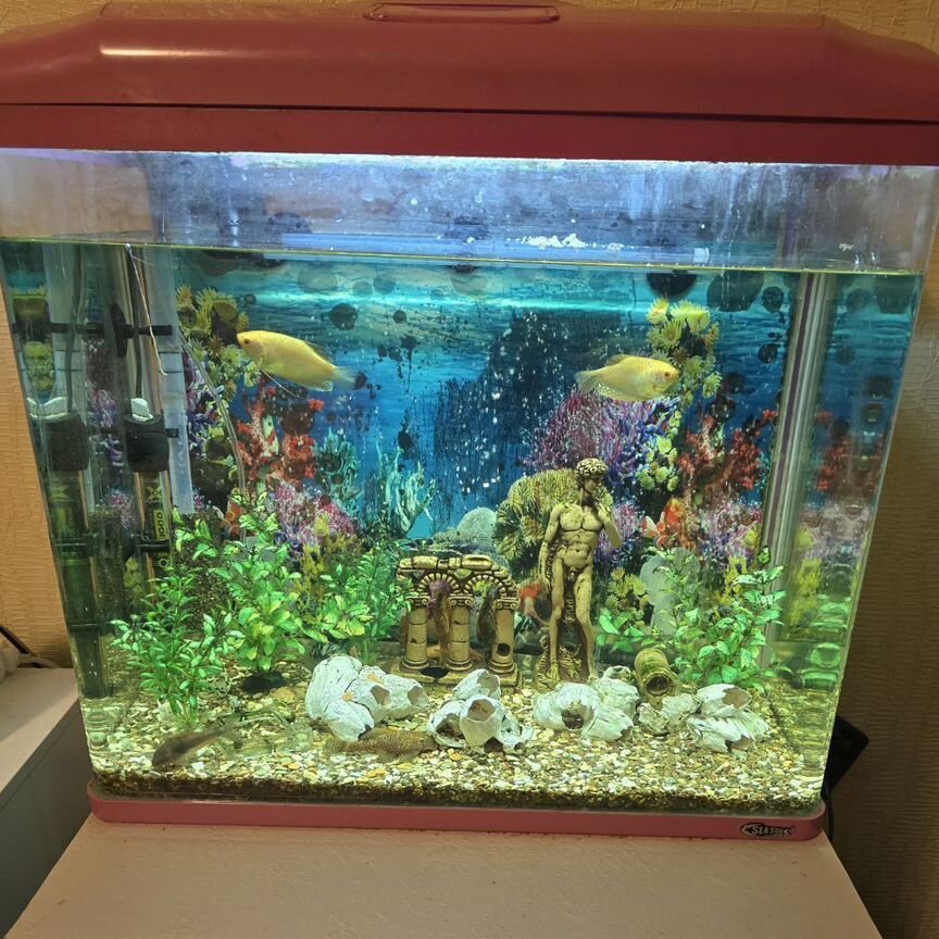 Аквариум с тумбой с рыбками