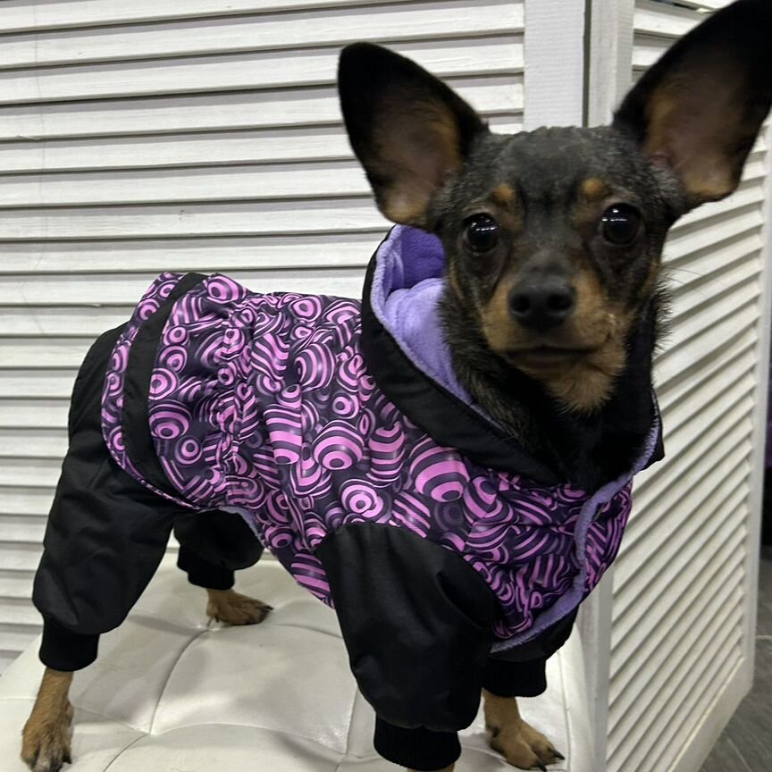 Одежда для собак маленьких/средних/крупных пород