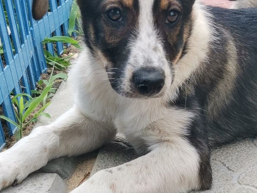 Малыш -3 мес