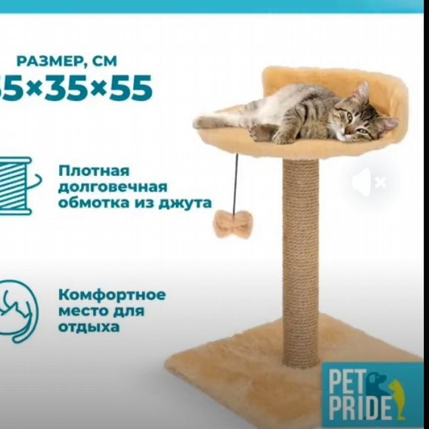 Когтеточка для кошек