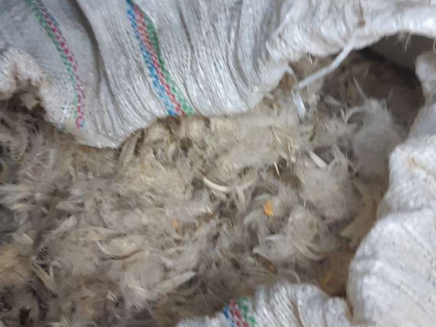 Пух гусиный