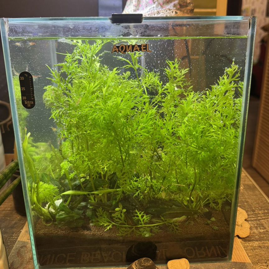 Аквариум aquael 20