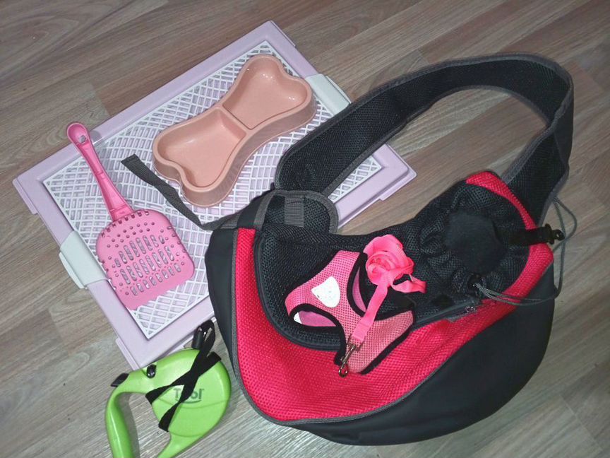 Все,что нужно для маленькой собачки