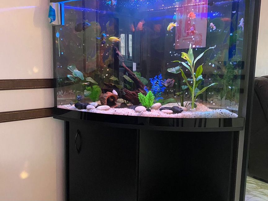 Аквариум на 170 л с двойным дном