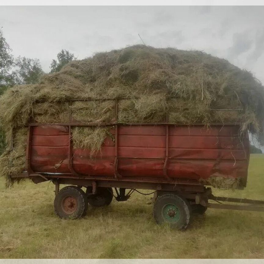 Сено россыпью