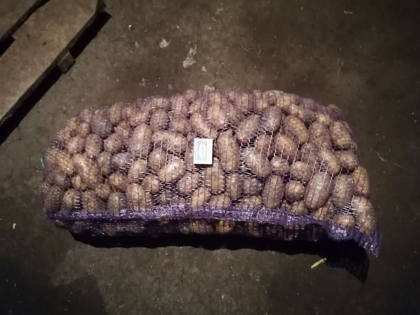 Картофель но корм скоту