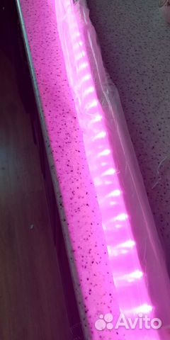 Фитолампа для растений новая купить в Омске | Товары для дома и дачи ...