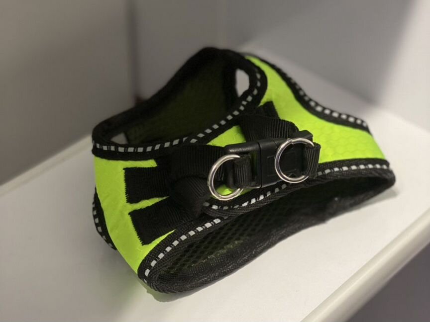 Шлейка для маленькой собаки