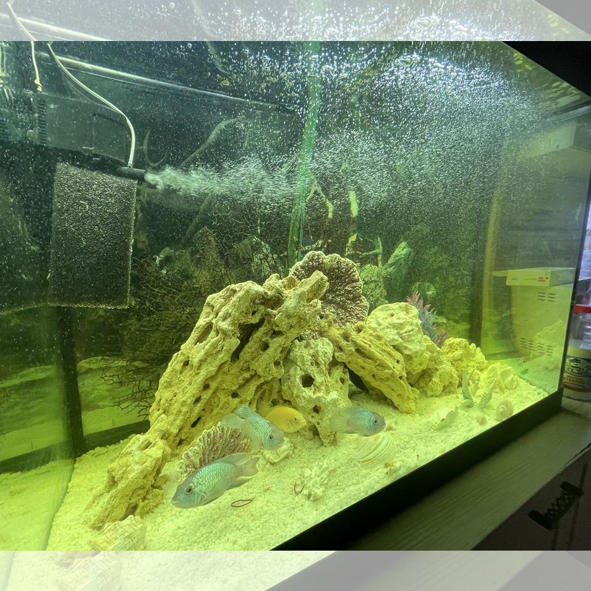 Аквариум 370 литров 100*75*50 см