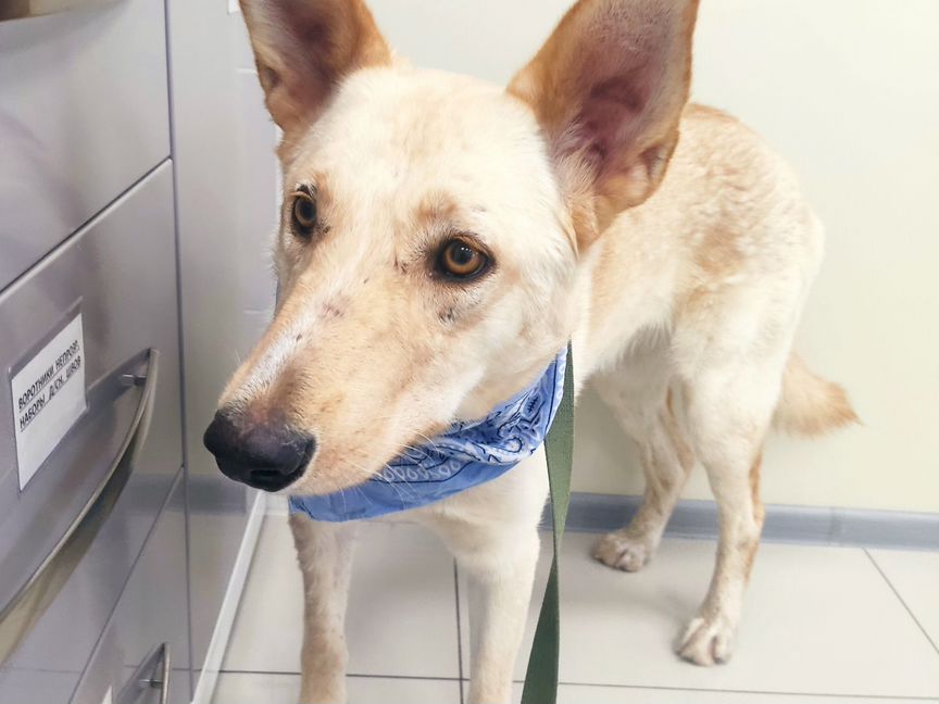 Братик и сестрёнка 1 год, надеются