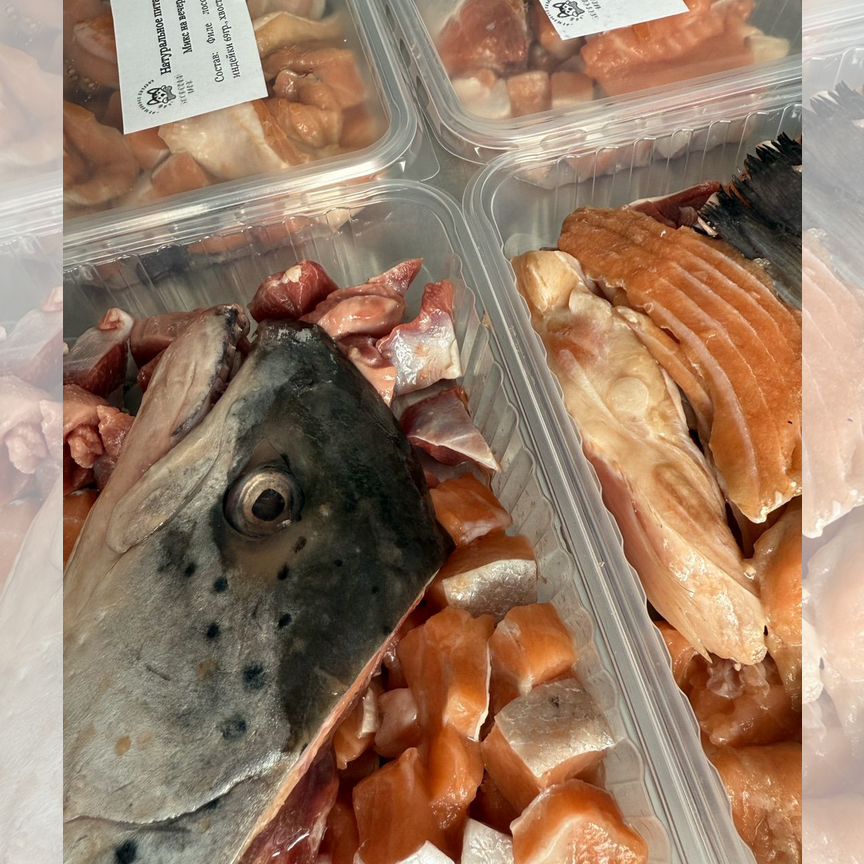 Натуральная еда для собак