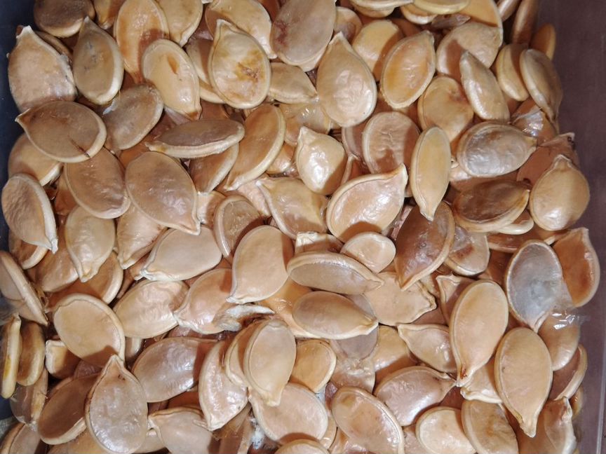 Тыквенные семечки
