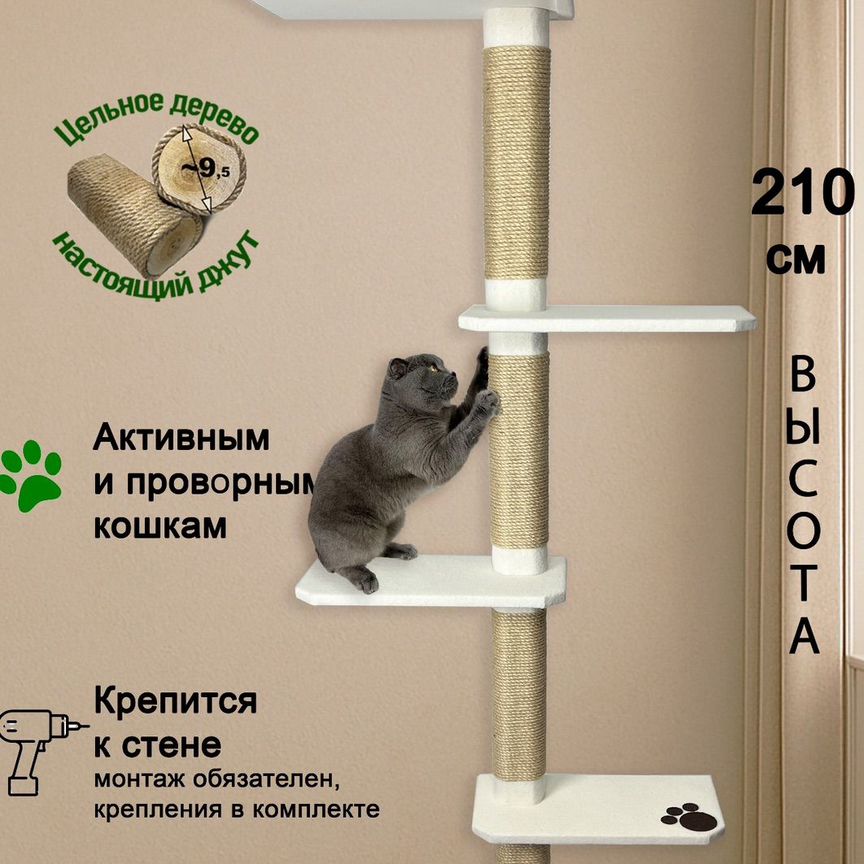 Когтеточка б/у