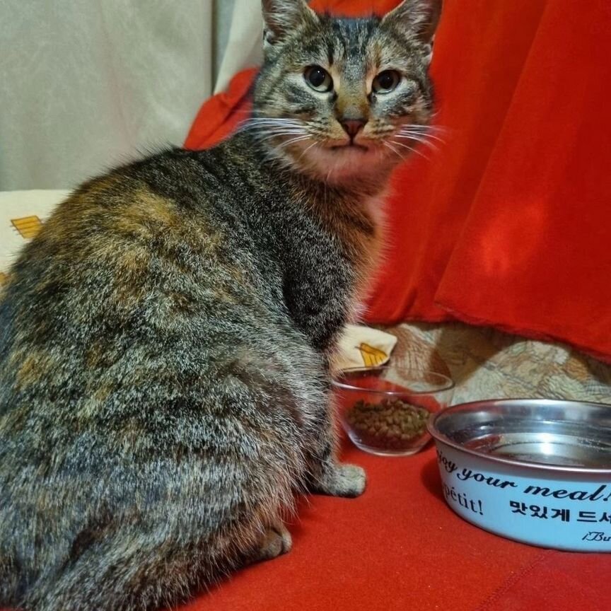 Ляля ищет хороших людей