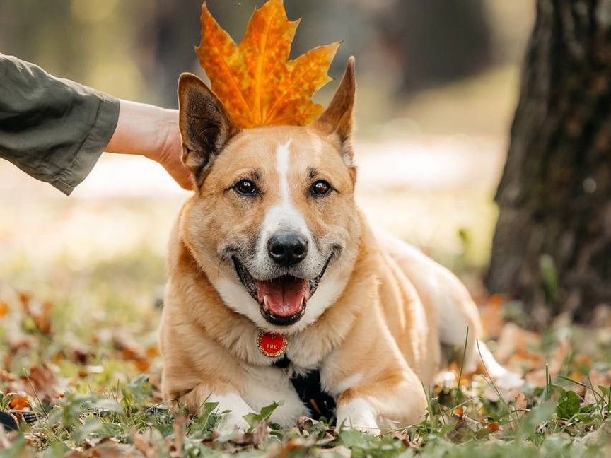 Рик ищет семью