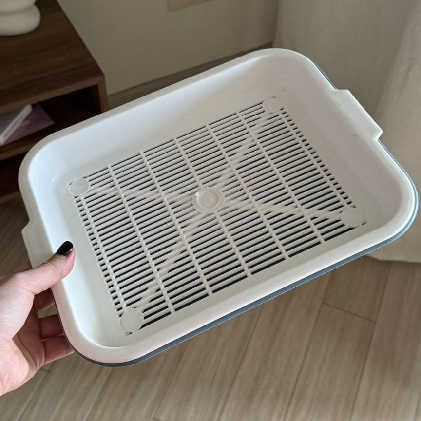Лоток для котят