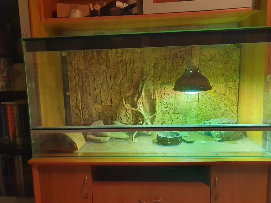 Террариум с оформлением (120х60х44)