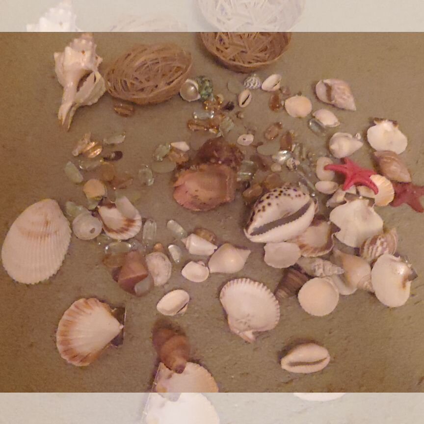 Ракушки и камушки для аквариума или для творчества