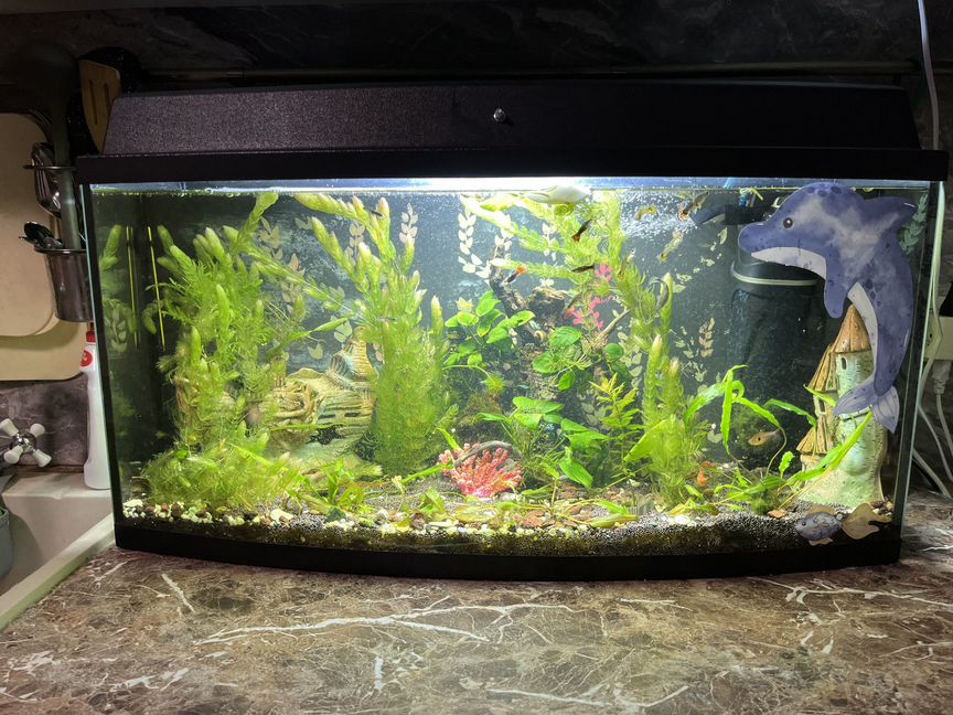 Аквариум 80 литров