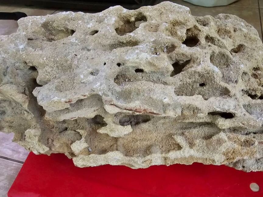 Камень в аквариум