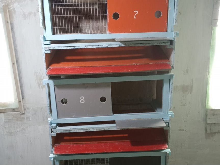 Гнёзда, переноски для голубей