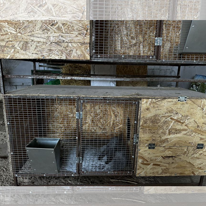 Клетка для кроликов