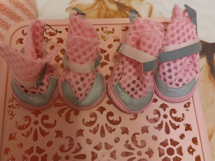 Дышащая обувь для животных