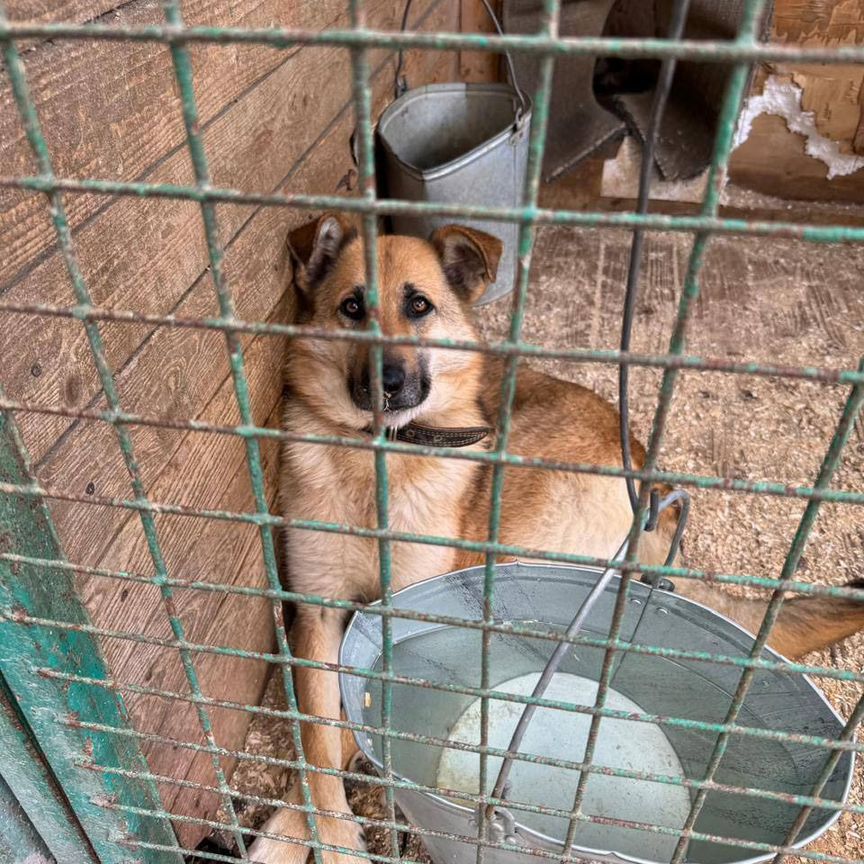 Классная девчонка в приюте