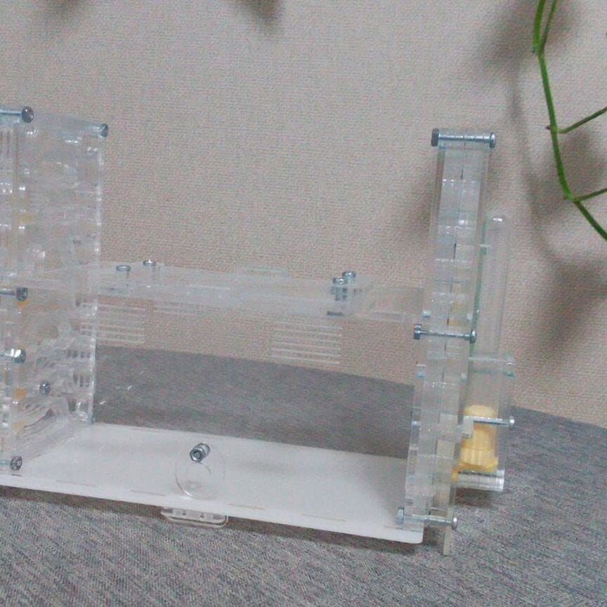 Муравьиная ферма без муравьев