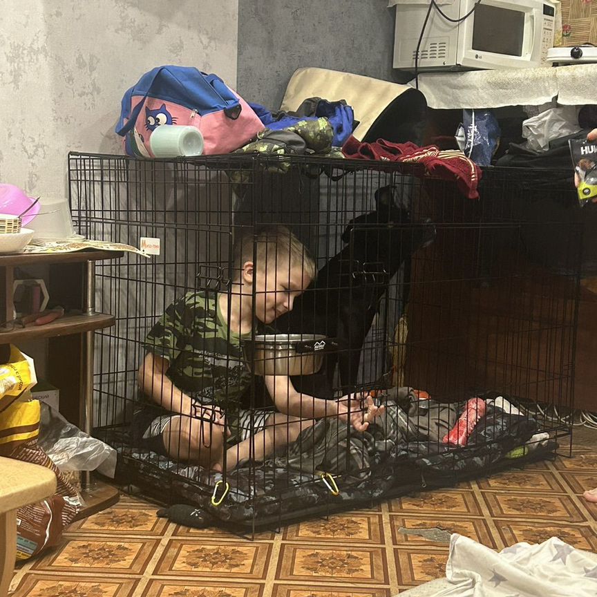 Клетка для собак