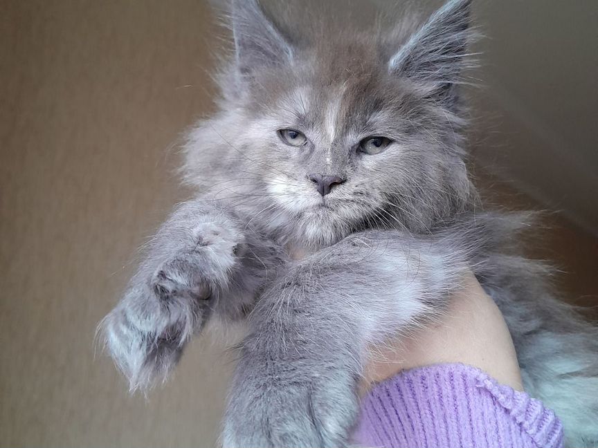 Дымная красота