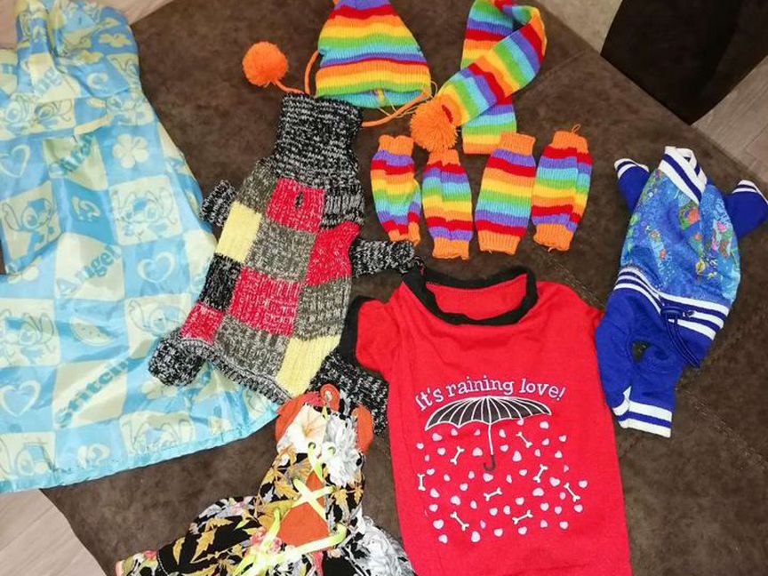 Вещи для маленьких собак