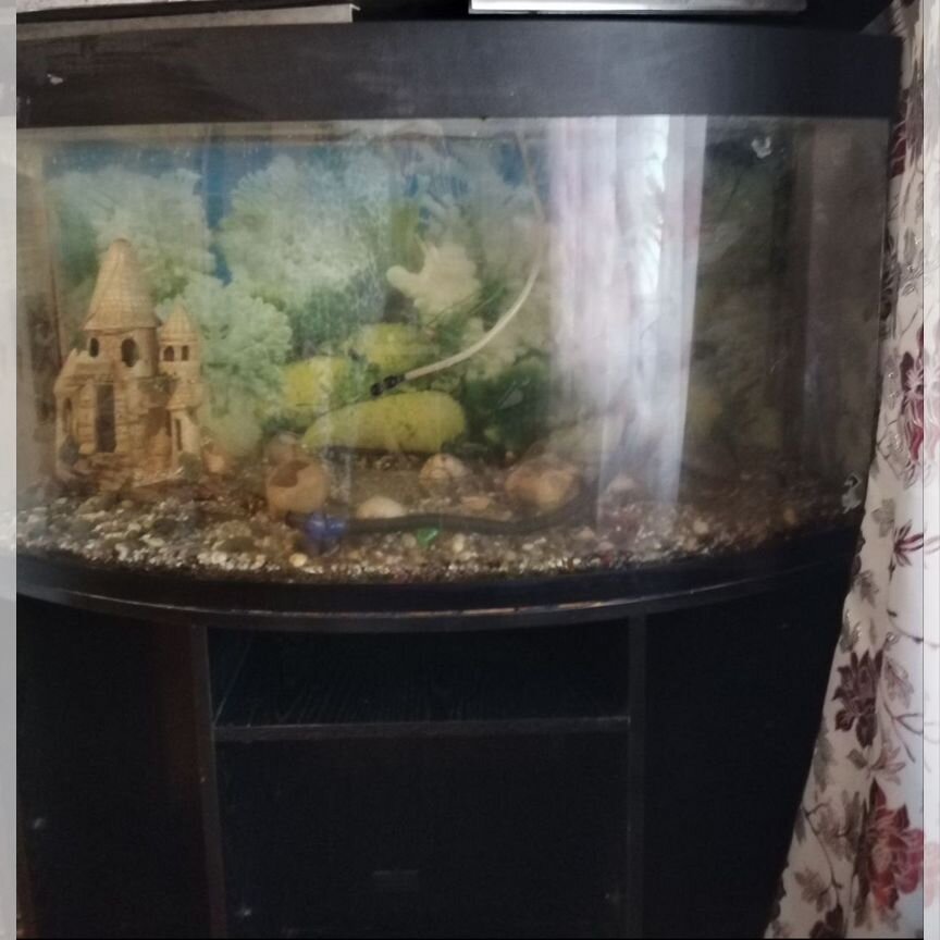 Аквариум с тумбой