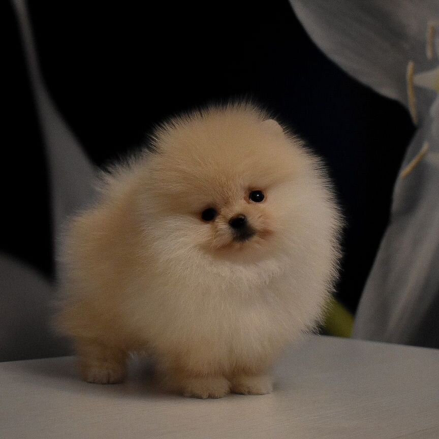 Супер мини кремыш