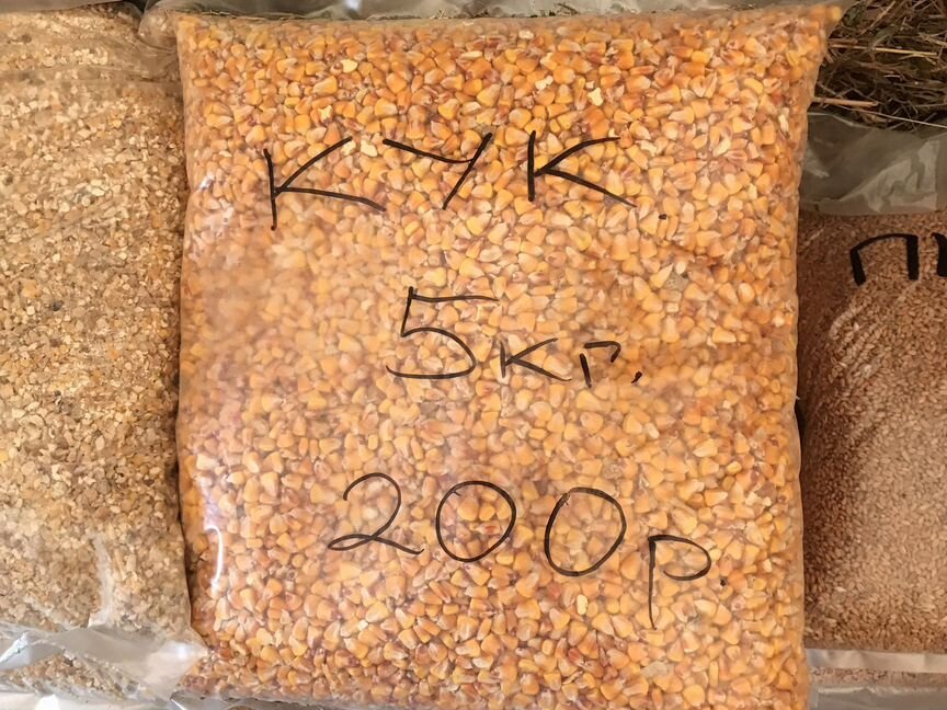 Кукуруза зерно цельное по 5 кг