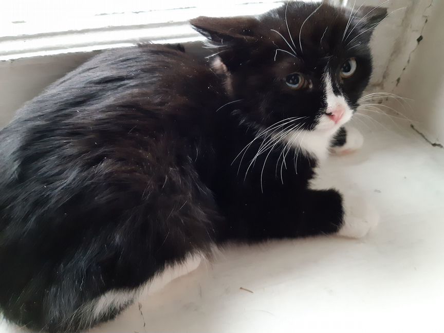 Маленький глазастенький выброшен