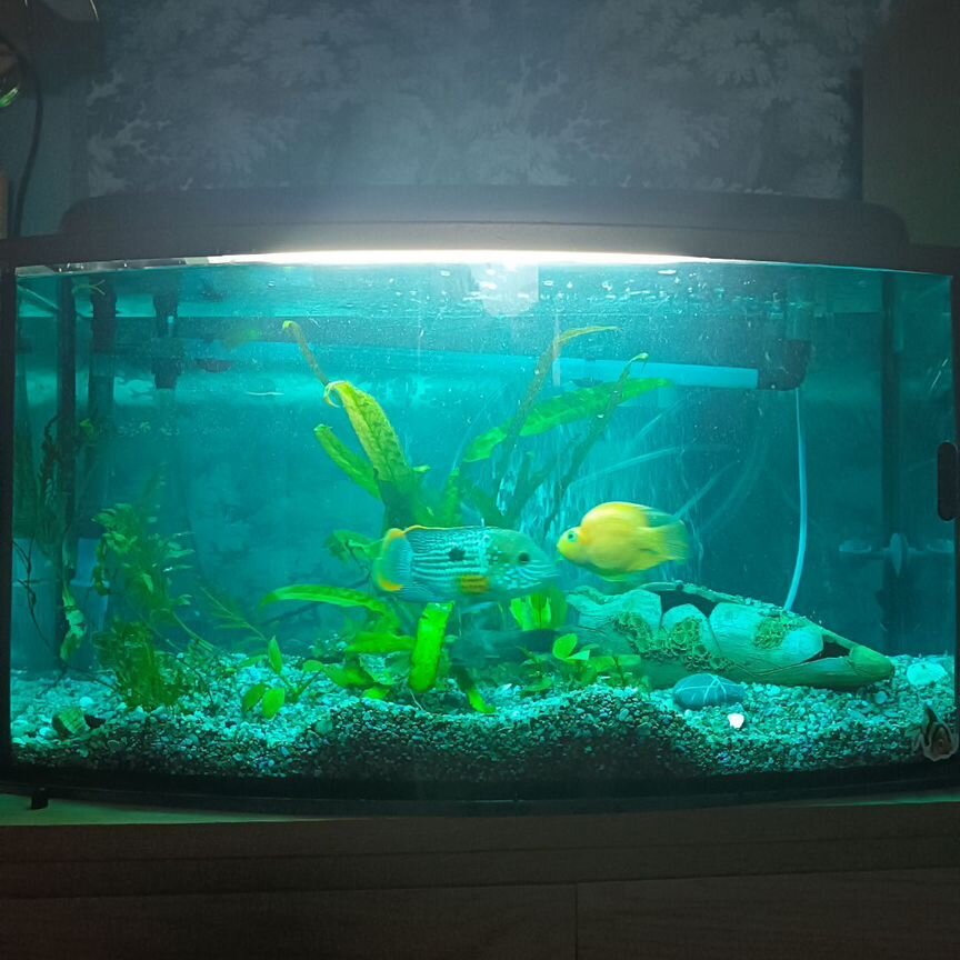 Аквариум 80л