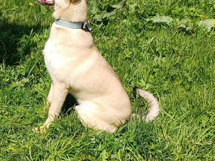 Подросток 6 мес в дом